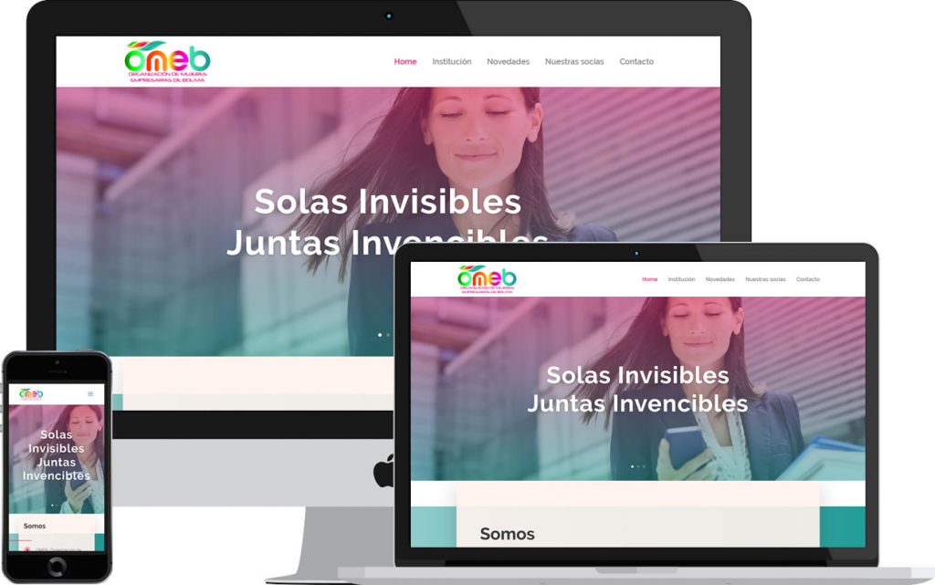 Sitio web Omeb Bolivia - Diseño web Rosario